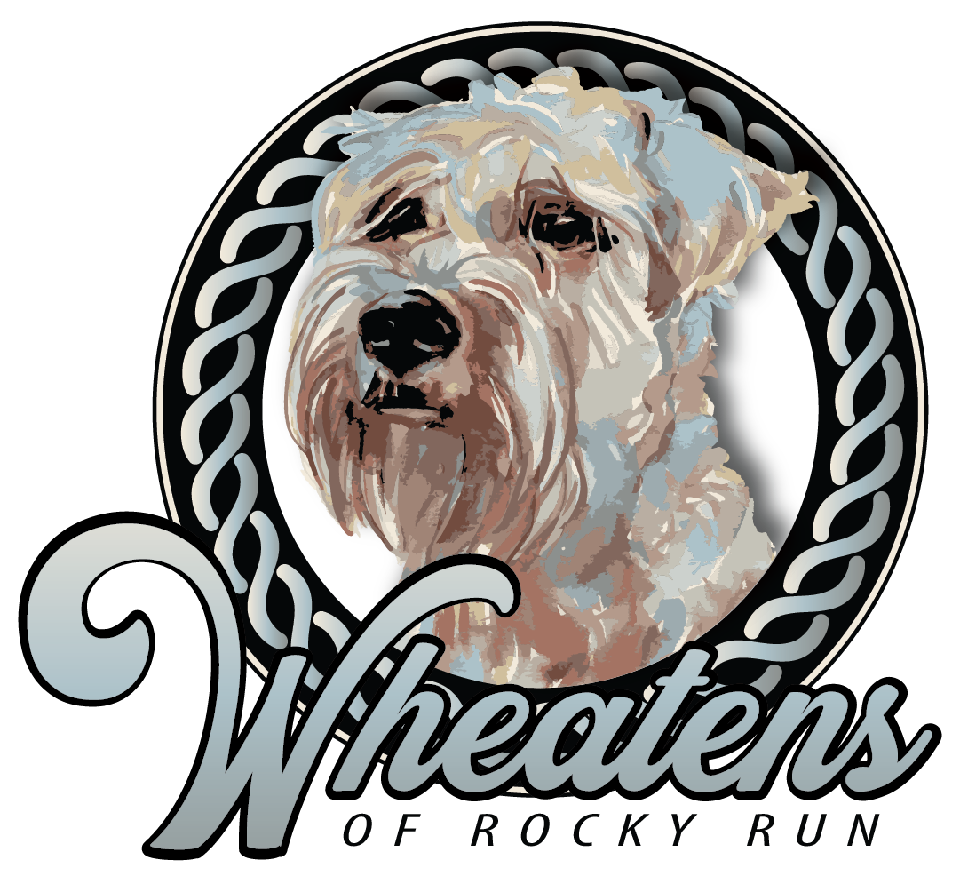 Wheatens of Rocky Run